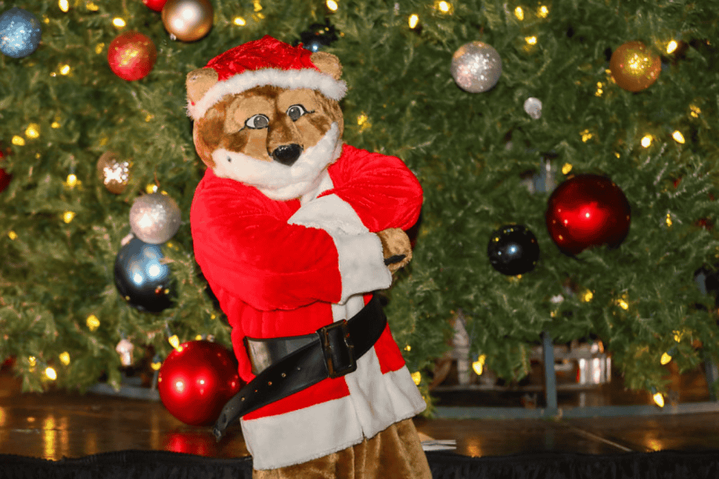 Cody the Cougar mascot dressed as Santa Claus standing in front of a decorated Christmas treel
